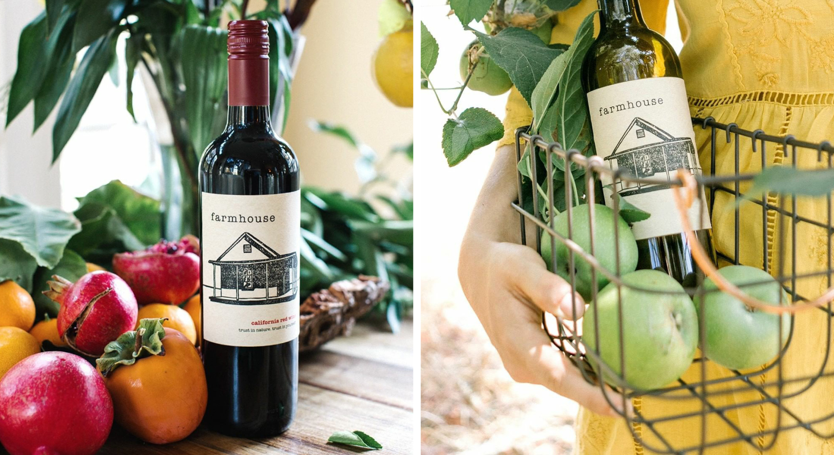 Producer Profile: Farmhouse Wines · VINEXX